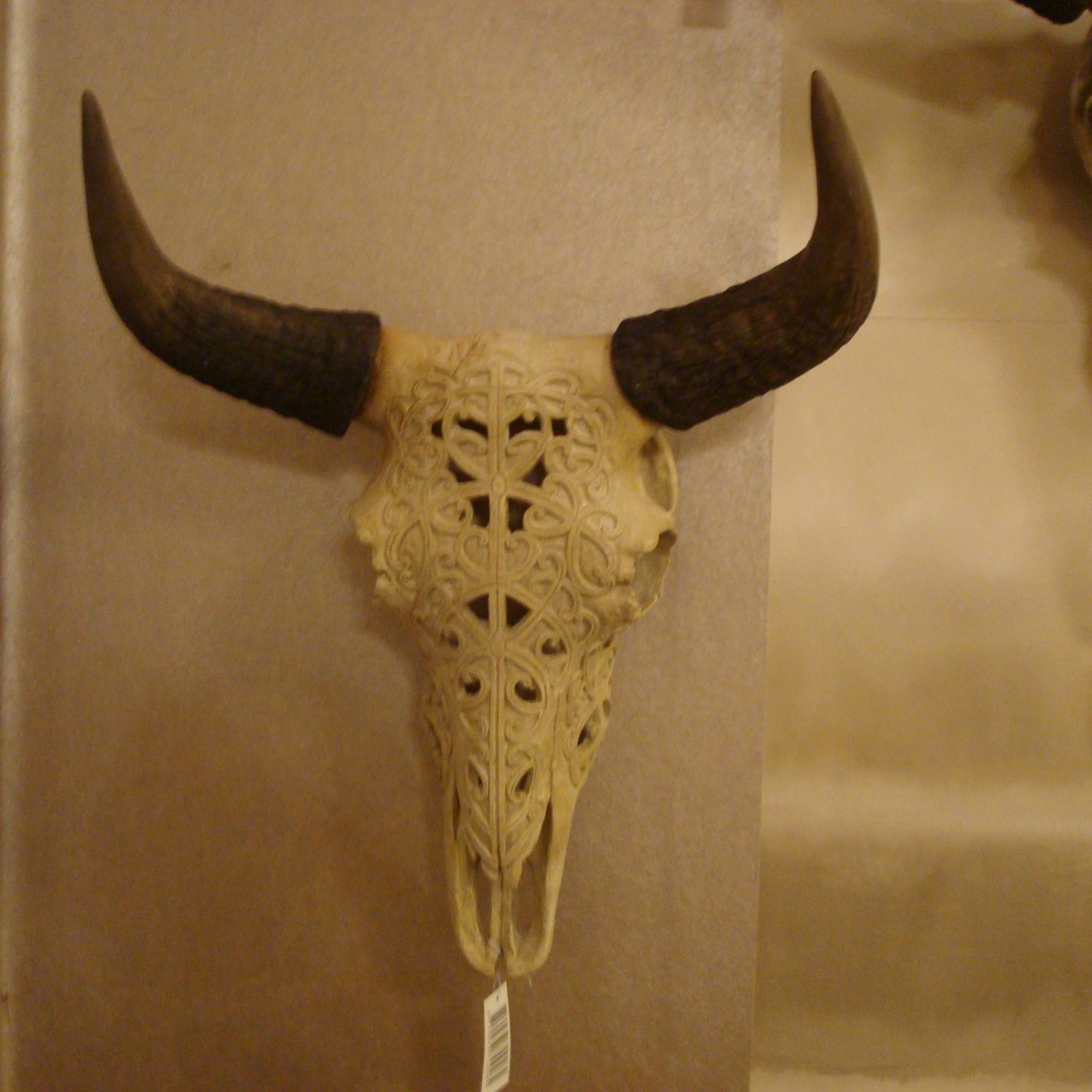 creme kunststof echte hoorns buffalo schedel bewerkt, By Boo Ox Skull ...